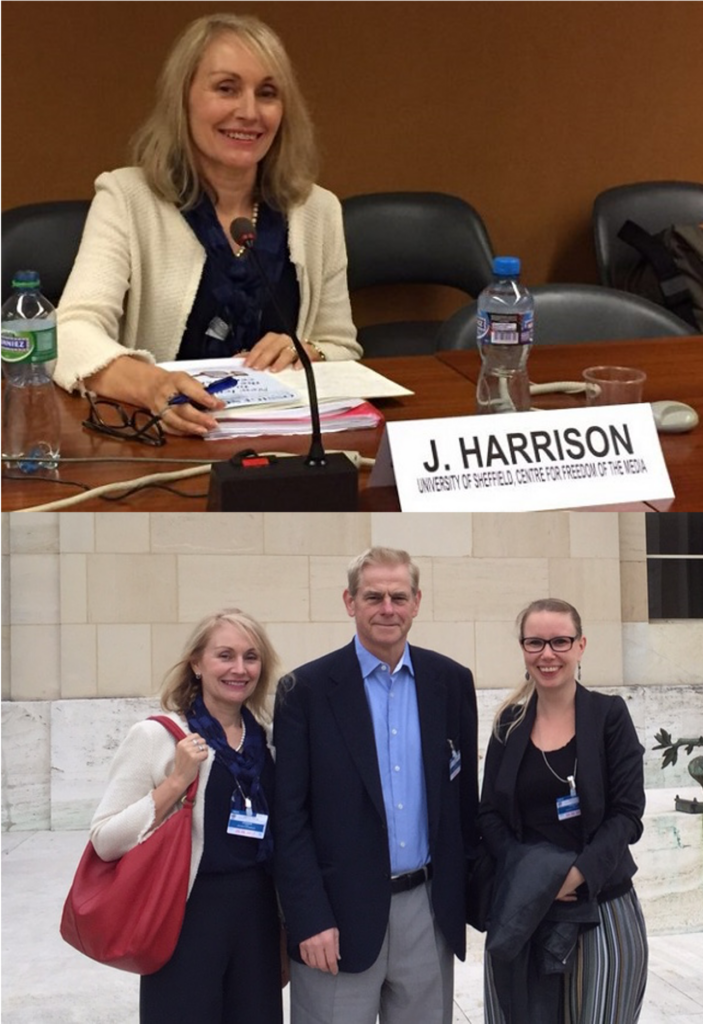 United Nations Plan of Action on the Safety of Journalists and the ...